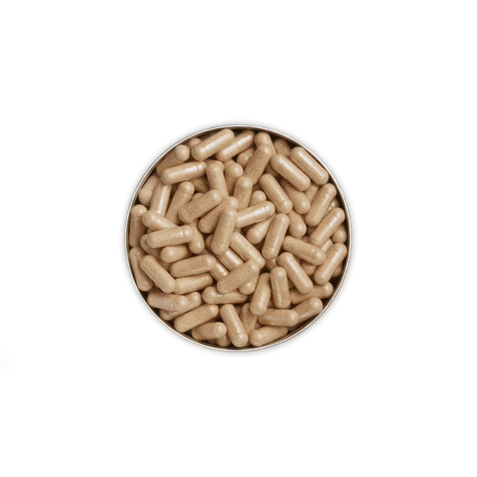 Products – Chelleon